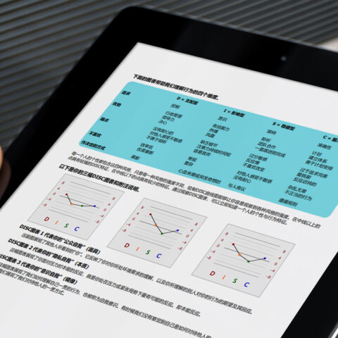 DISC Reports in 35+ Languages